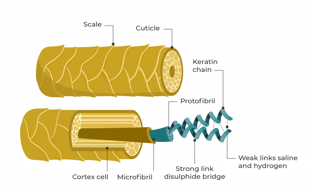Kera-diet - BCF Life Sciences